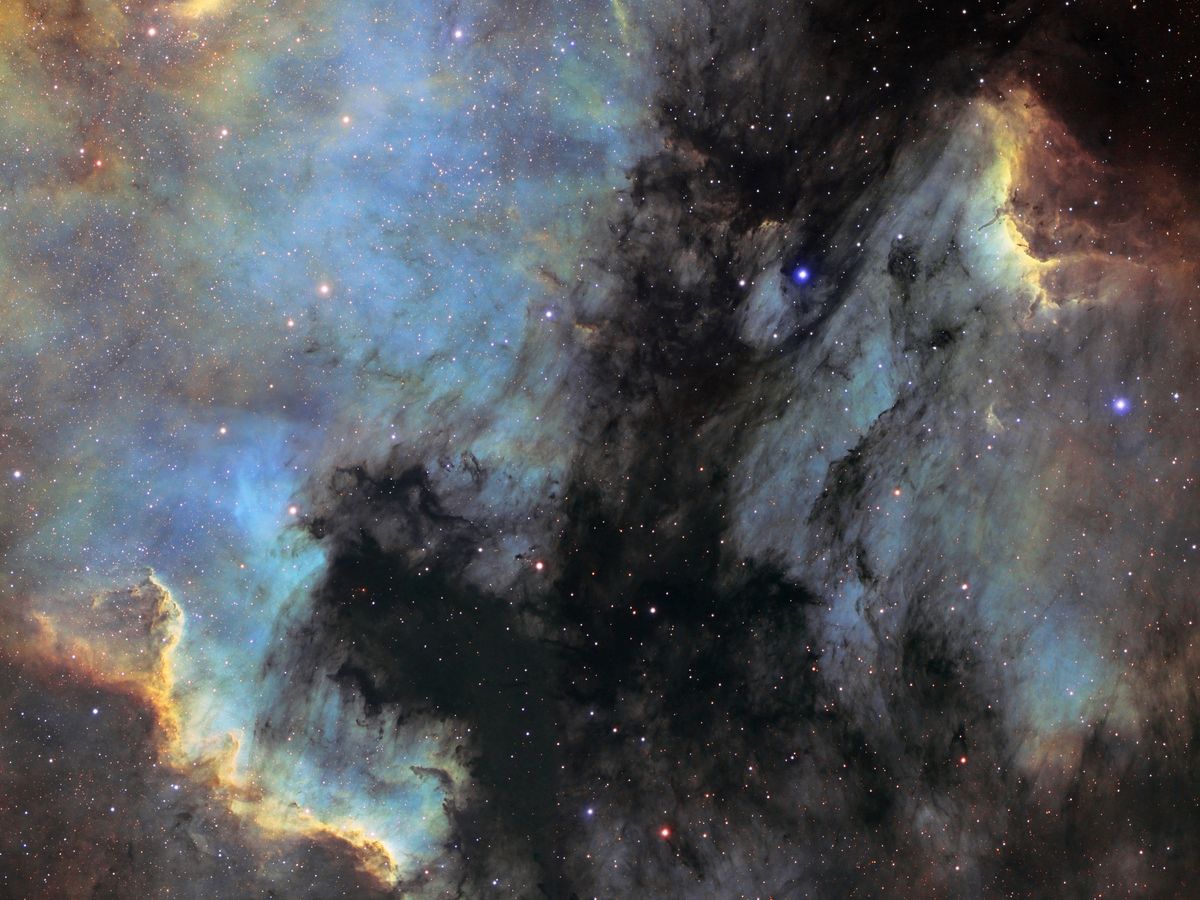 NGC 7000 (North America) and IC 5070 (the Pelican)